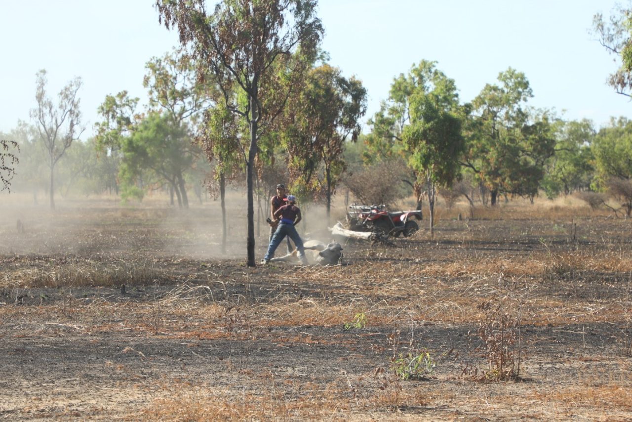 2021 Kowanyama Cattle Muster - Kowanyama Aboriginal Shire Council