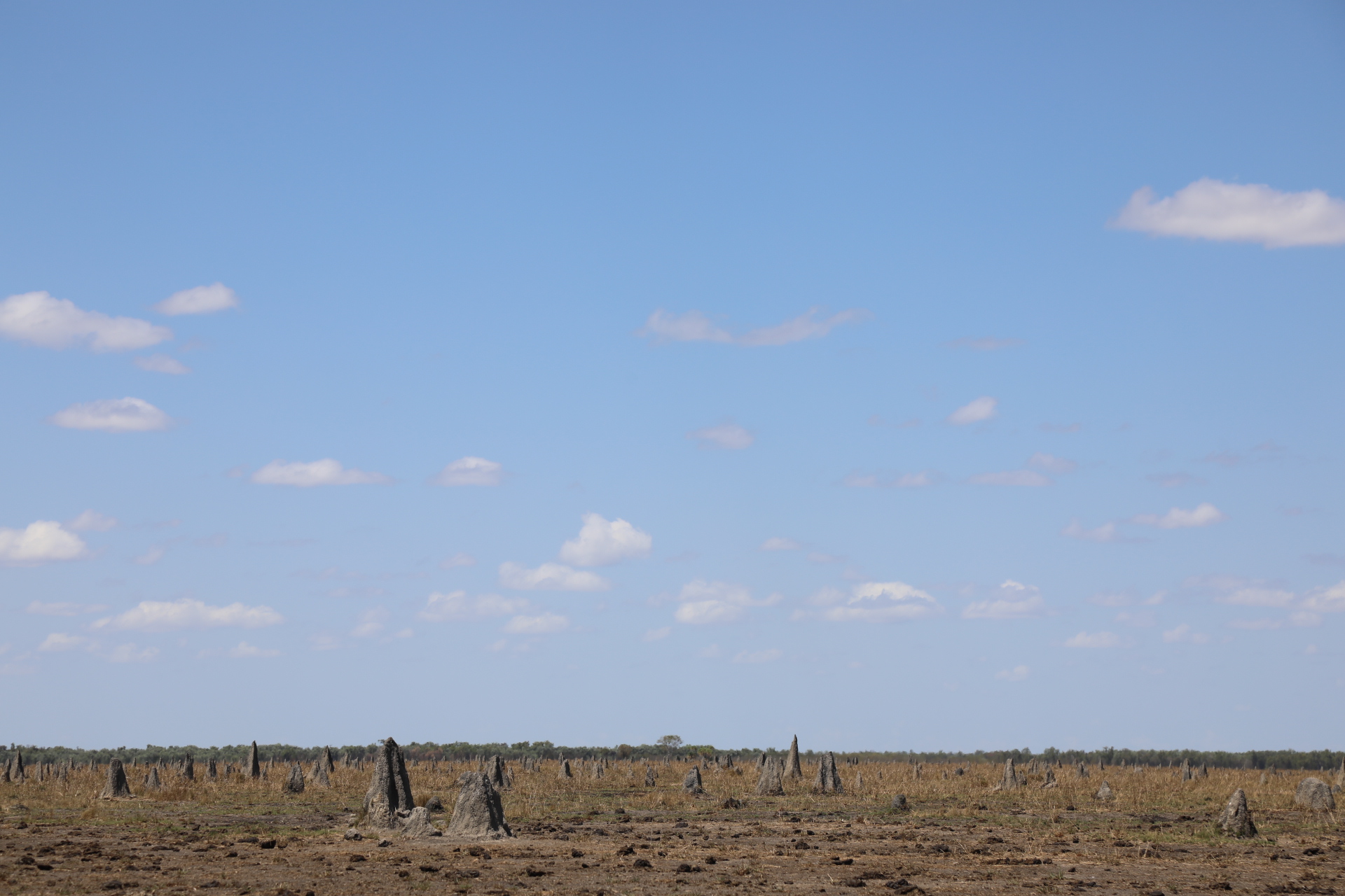 Special Public Holiday: Kowanyama DOGIT Day - Kowanyama Aboriginal ...