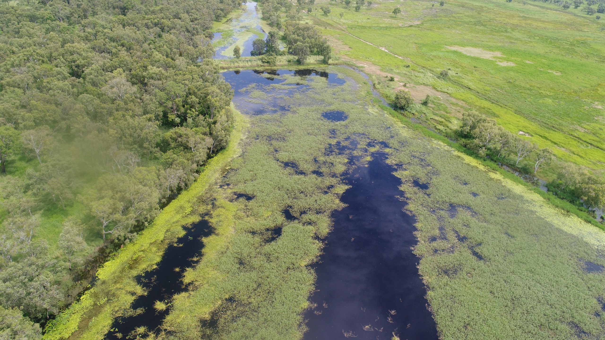 News - Kowanyama Aboriginal Shire Council